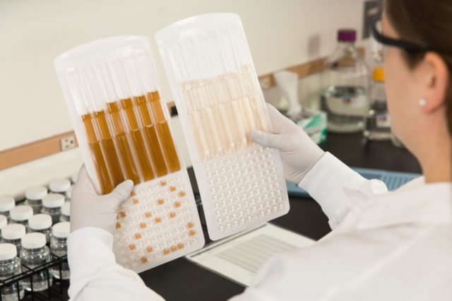 IDEXX Legiolert® Receives NF Validation Certification by AFNOR for ...